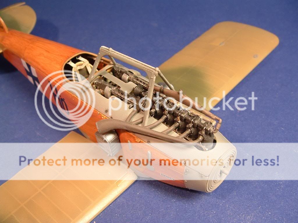 Rodens Albatros D1 - Works in Progress - Large Scale Planes