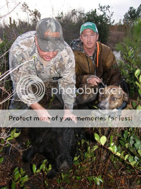 Swimming at Mallory Swamp | GON Forum