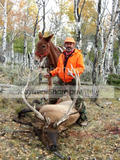 To all of the New Elk Hunters....... - 24hourcampfire