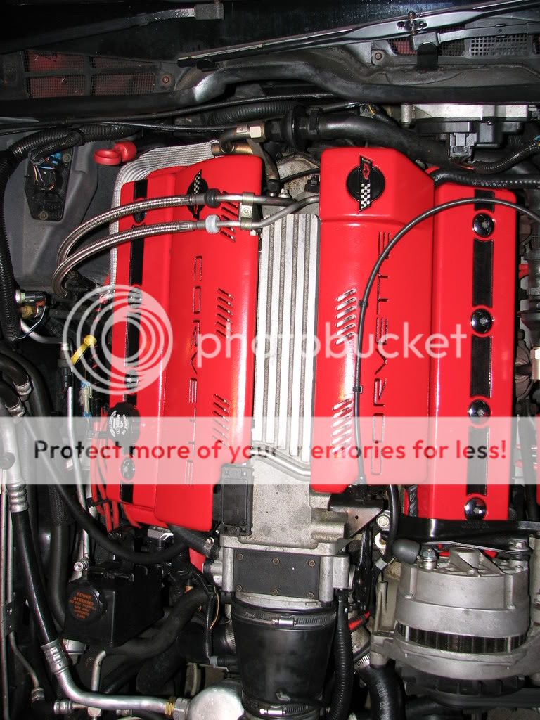 Can you post pics of your detailed/painted engine bay - CorvetteForum ...