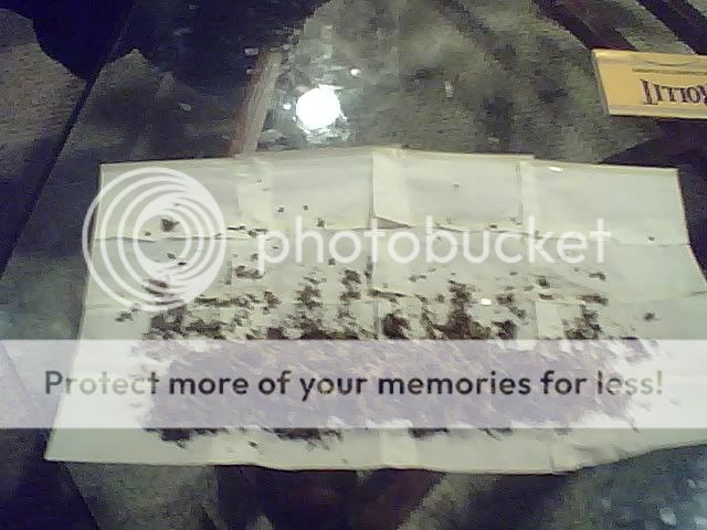 My 2 gram joint 3 gram joint and 8 gram blunt, tell me wat u think ...