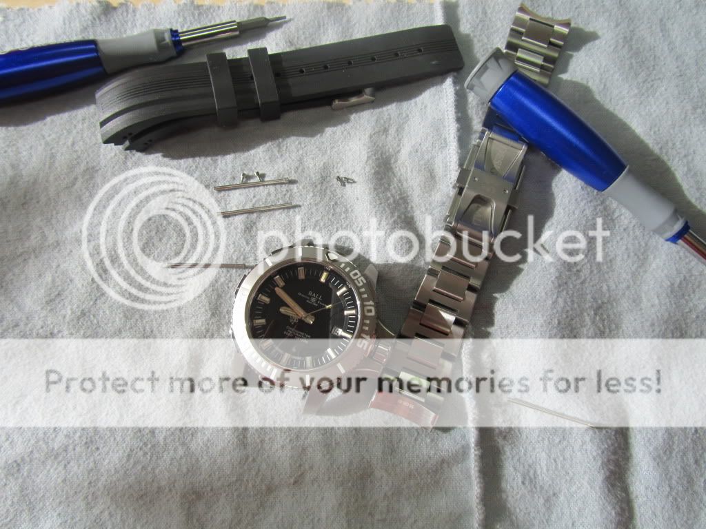 Wanting to put the rubber Ball Strap on my DQ | WatchUSeek Watch Forums